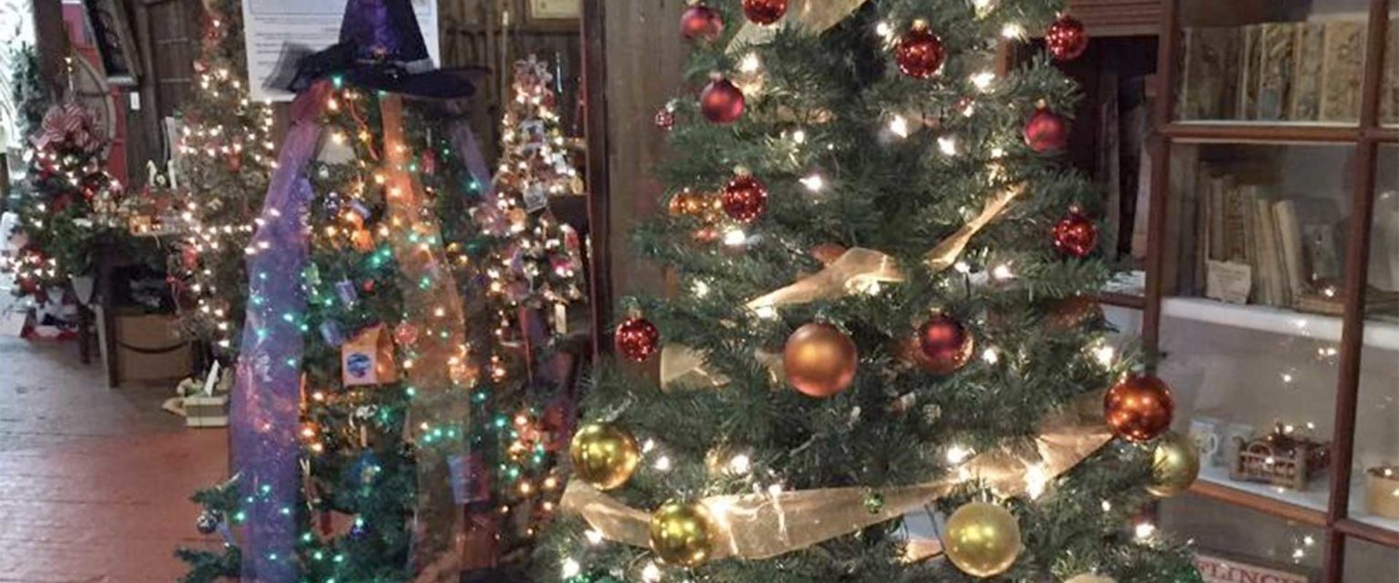Gallery of Trees – Canton Historical Museum